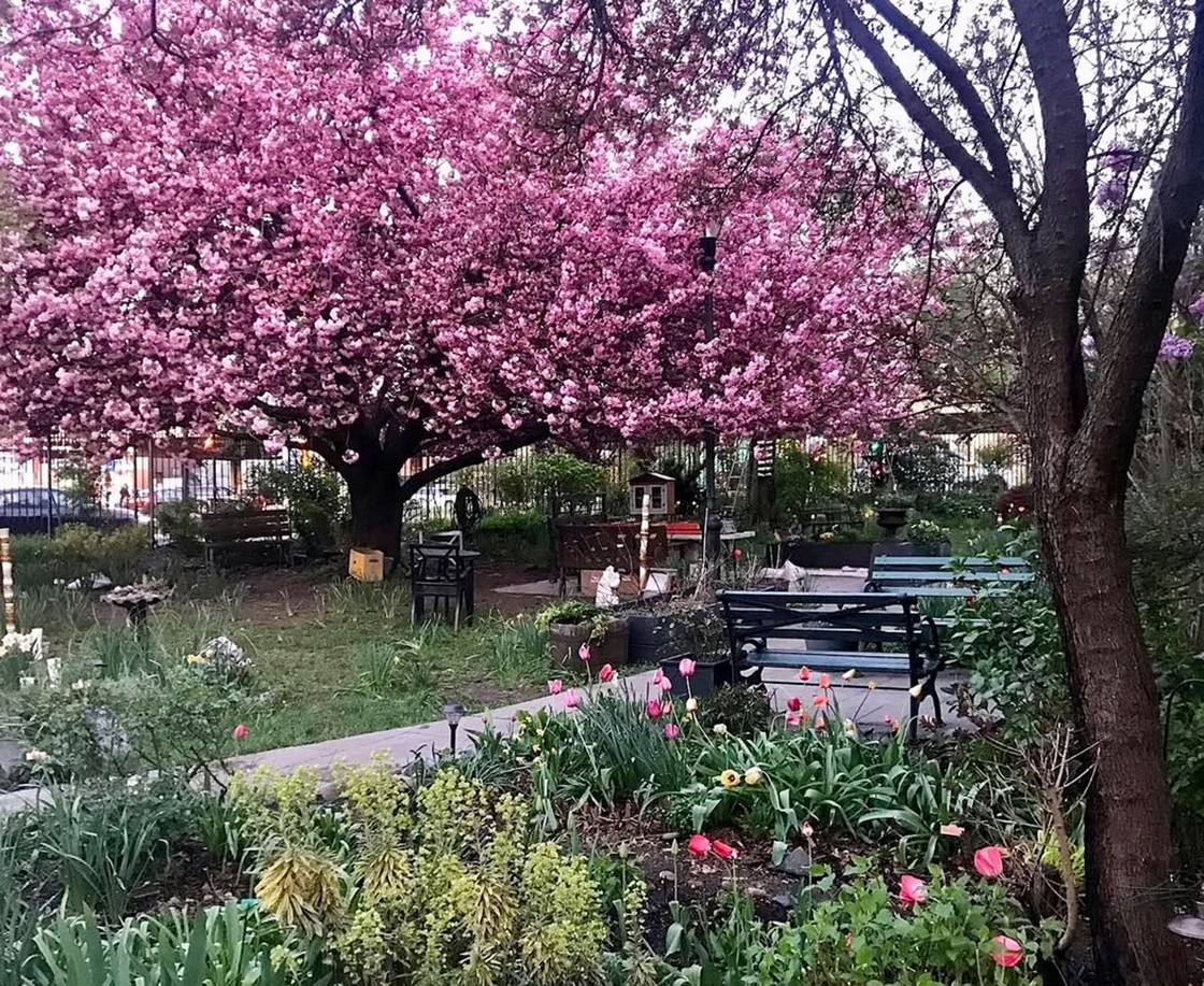 Celebrate Earth Day all month long in a GreenThumb community garden