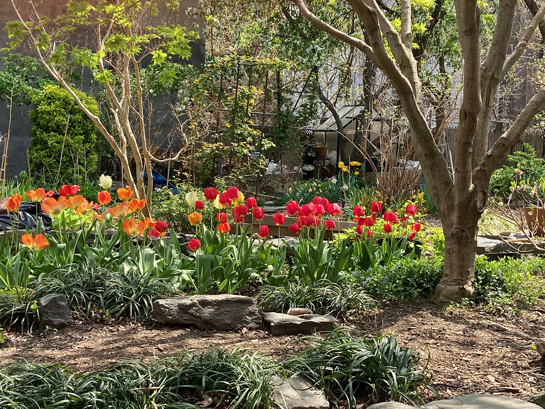 Celebrate Earth Day all month long in a GreenThumb community garden