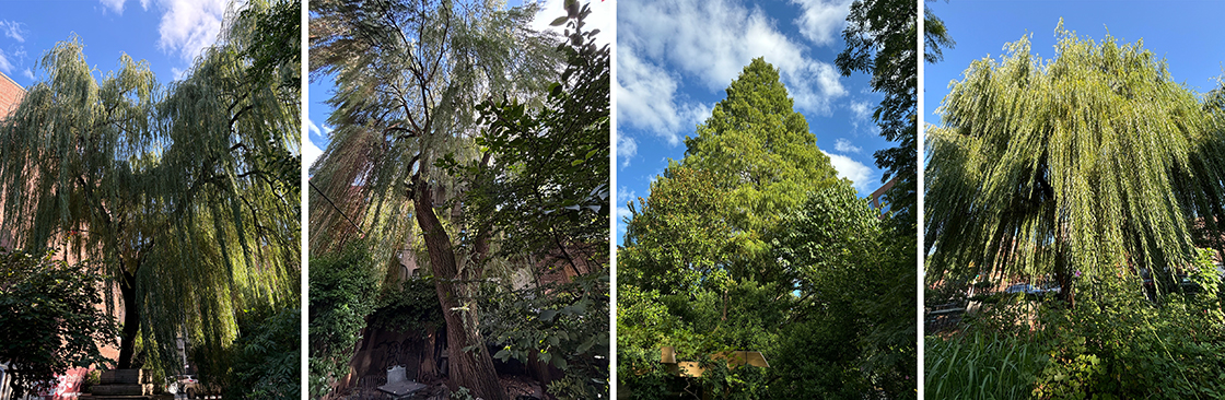 GreenThumb's 44th Annual Harvest Fair is this Saturday