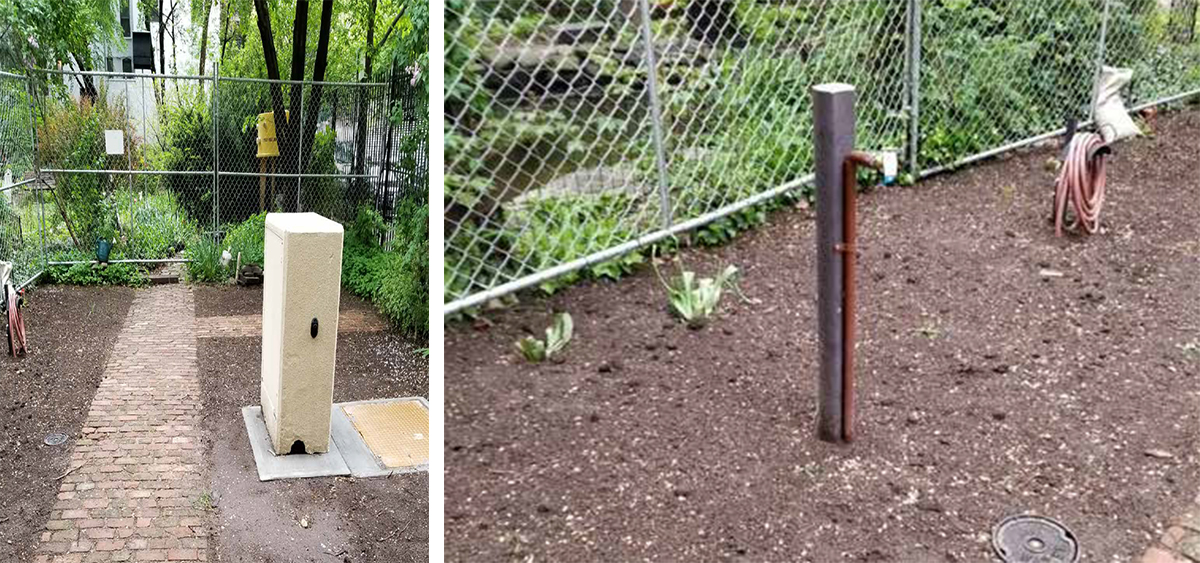 Visit a GreenThumb Community Garden this weekend